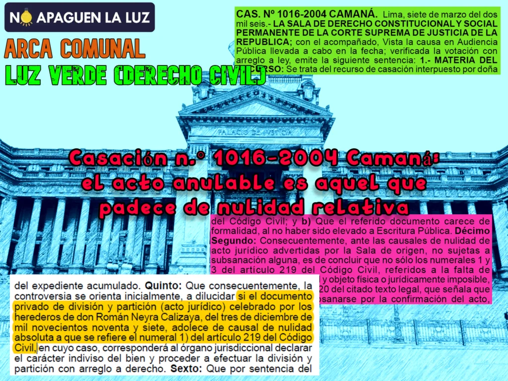 Casación n.° 1016-2004 Camaná de la Sala de Derecho Constitucional y ...